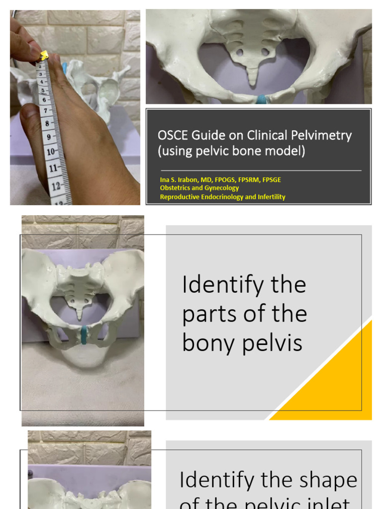 Clinical Pelvimetry Procedure Guide | PDF | Pelvis | Skeletal System