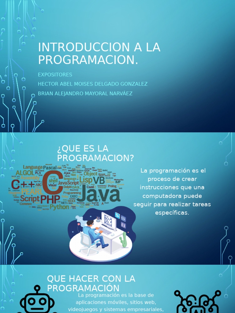 Introduccion A La Programacion | PDF