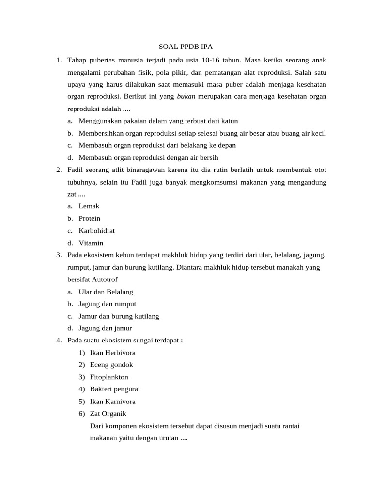 SOAL PPDB 2024 | PDF