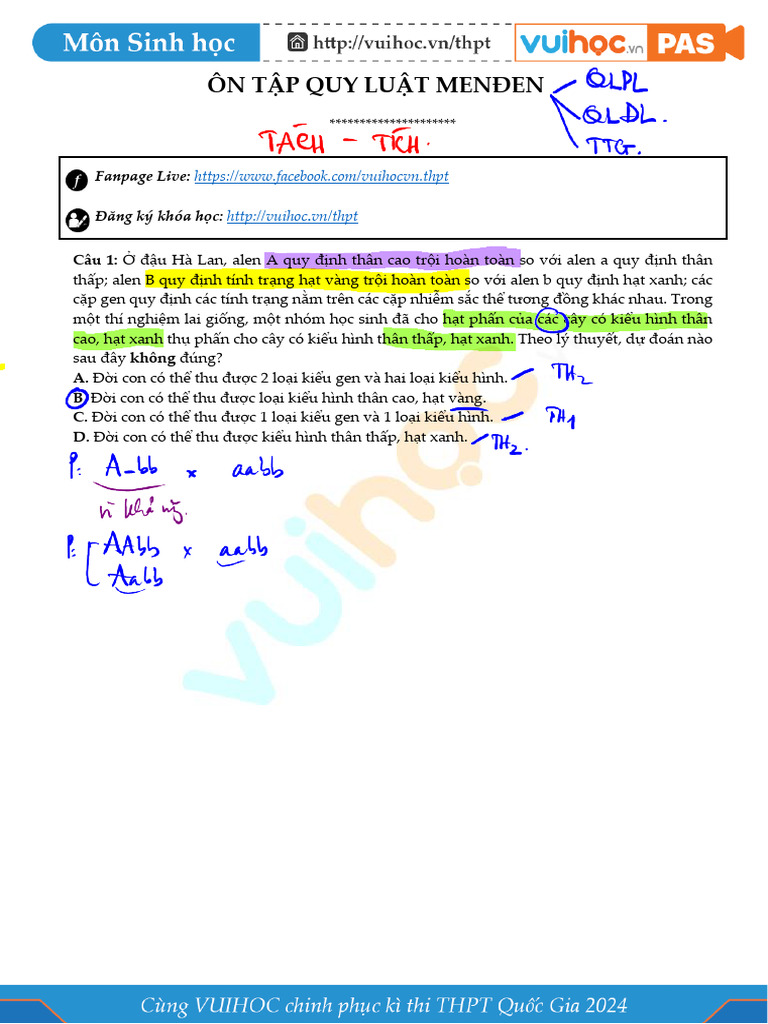 (02.02.24) Ôn Tập QL Menđen | PDF
