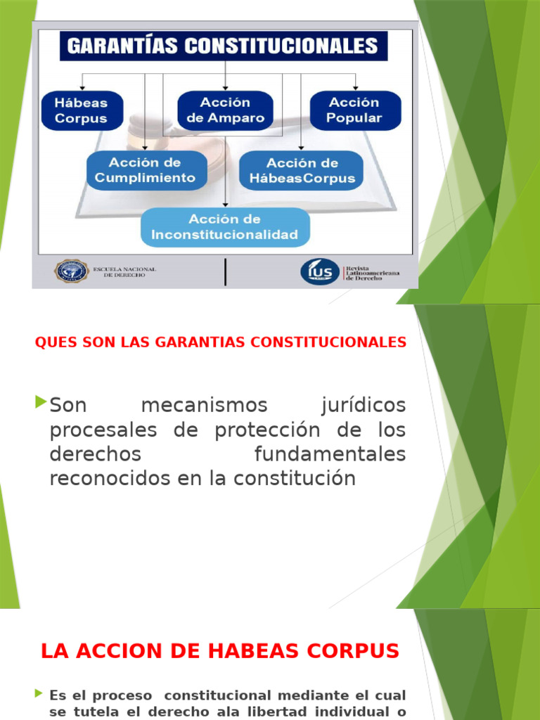 GARANTIAS CONSTITUCIONAL | PDF