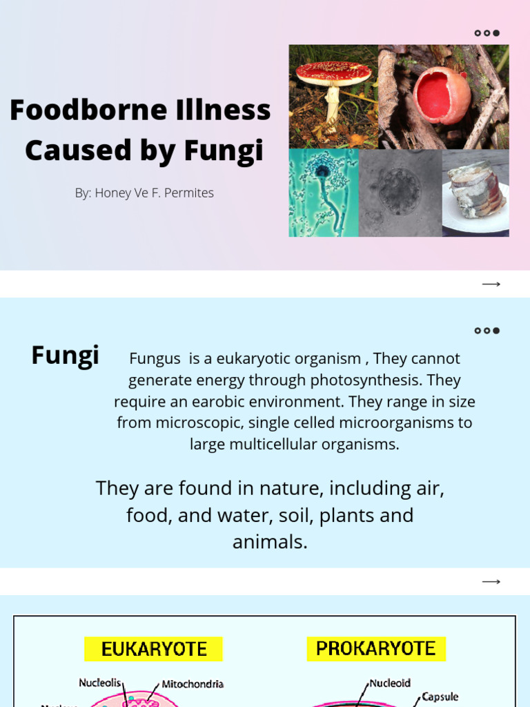 Foodborne Illness Caused by Fungi | PDF