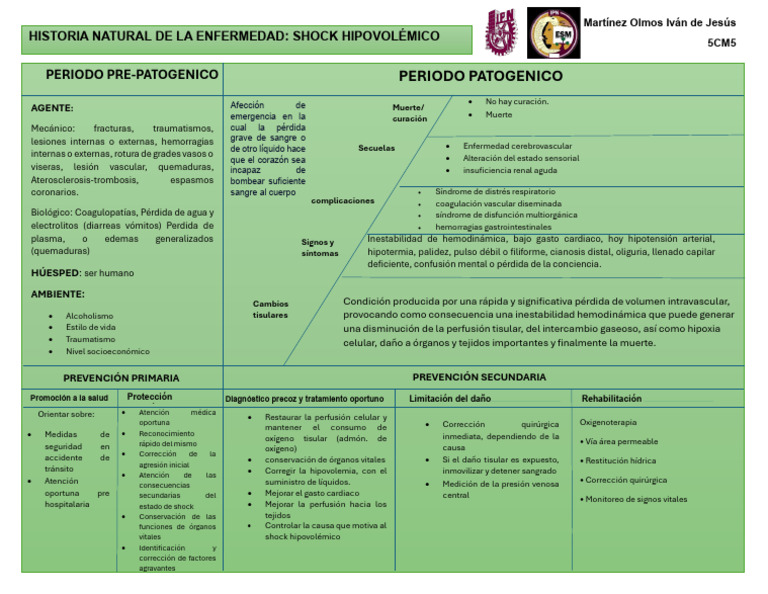 Hne Shock Hipovolémico Tarea | PDF | Medicina CLINICA | Enfermedades y ...