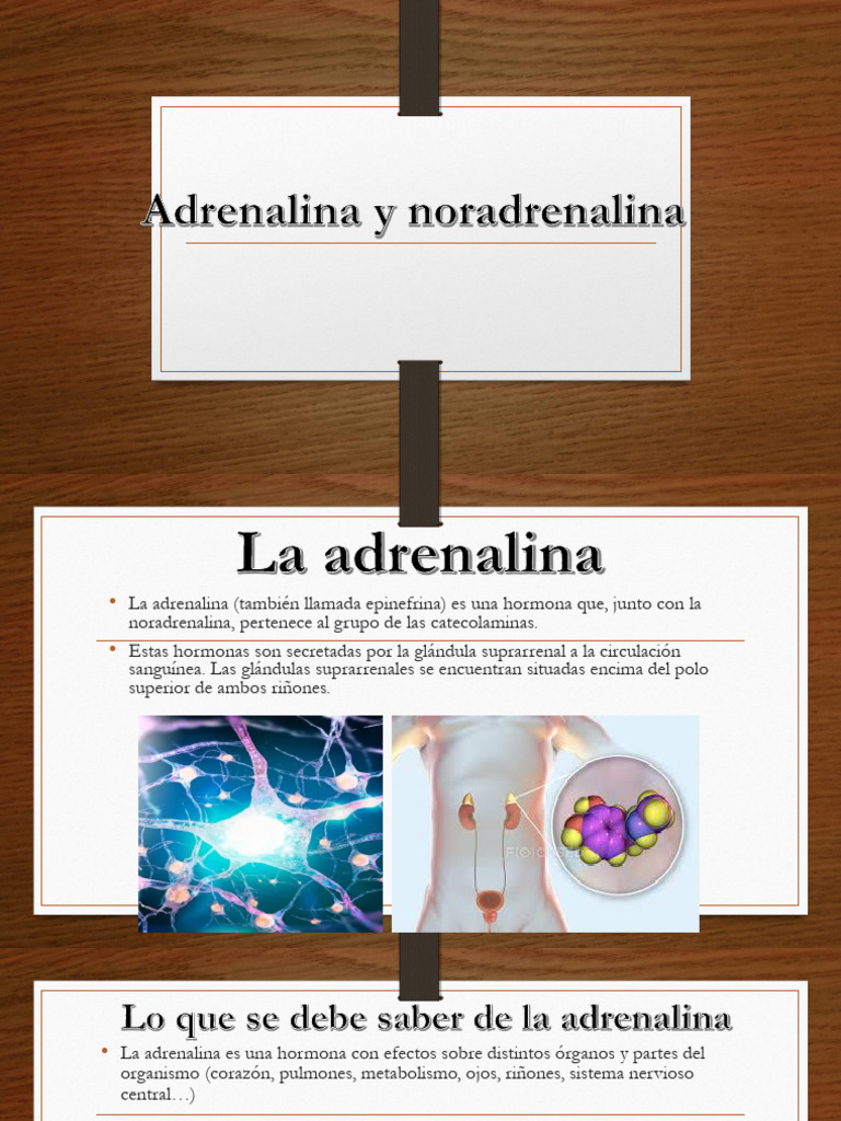 Adrenalina y Noradrenalina - PPTM | PDF