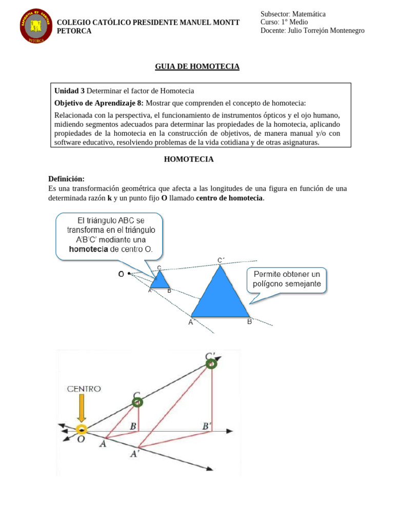 Guía Homotecia 1° Medio Completa | PDF
