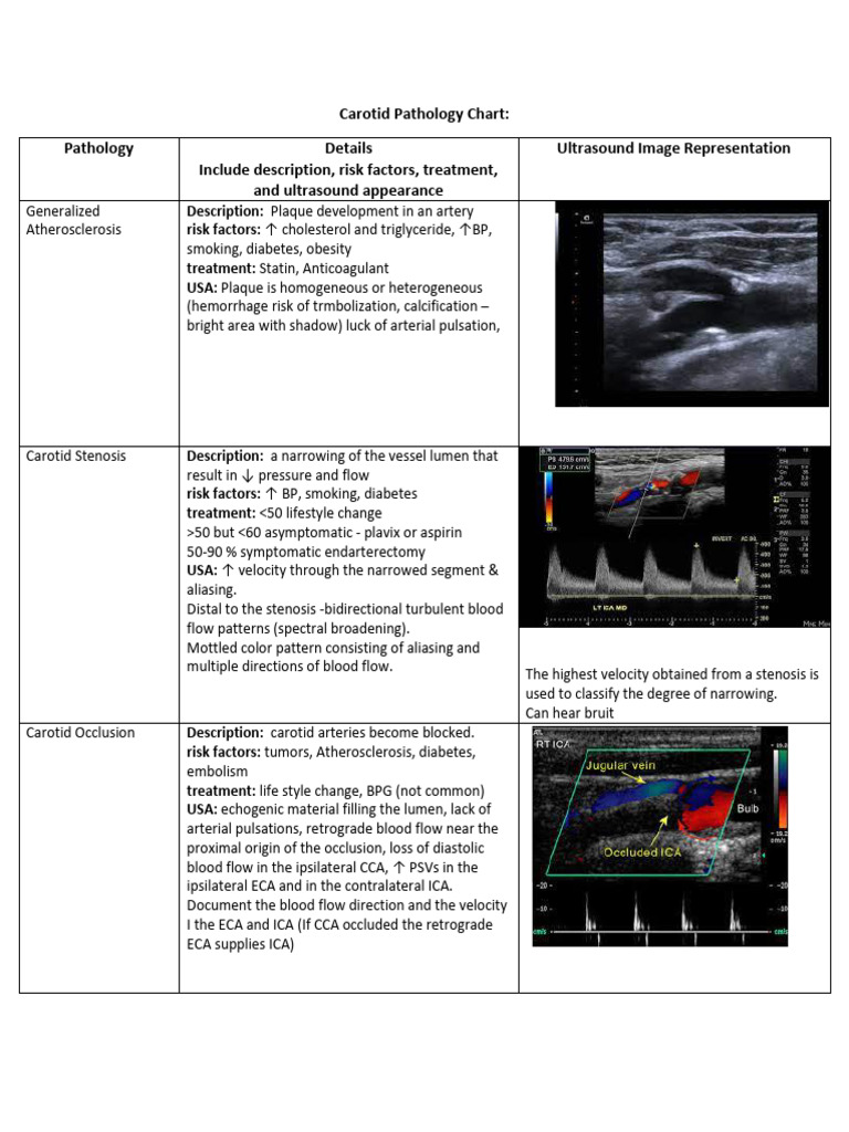 Cerebrovascular Pathology Chart | PDF