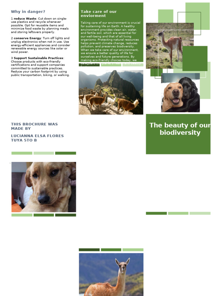 Why in Danger | PDF