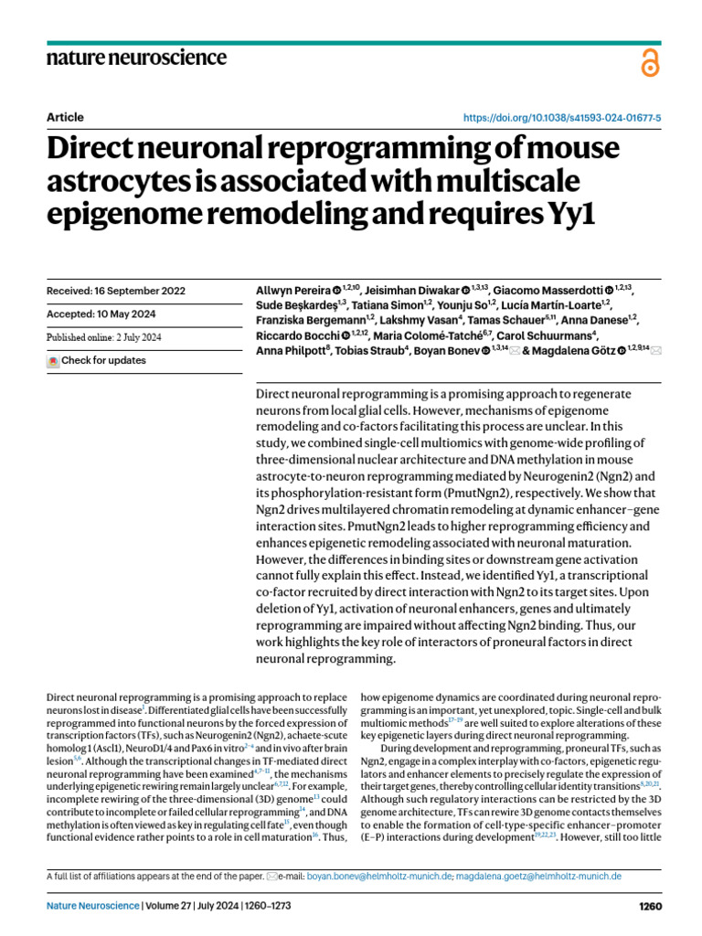 Direct Neuronal Reprogramming of Mouse Astrocytes Is Associated With ...