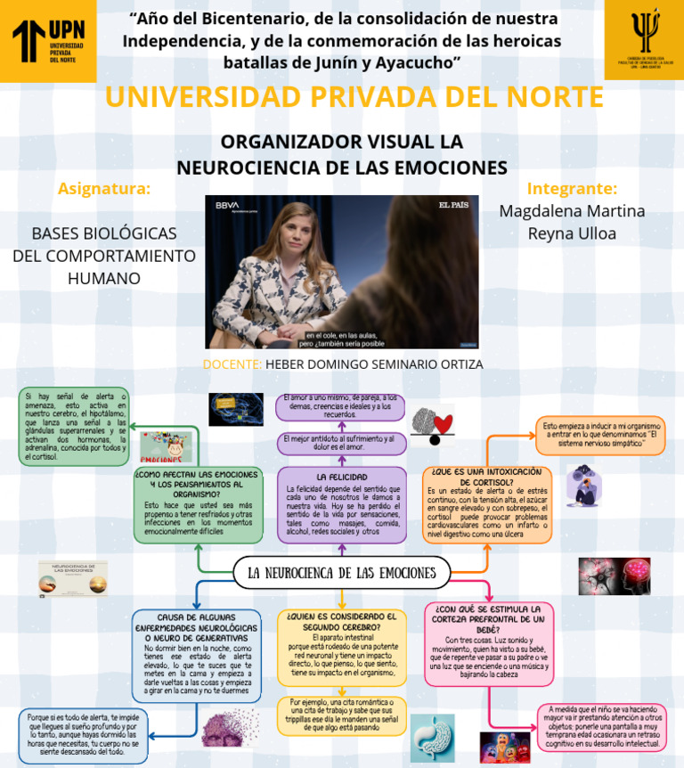 Organizador Visual La Neurociencia de Las Emociones | PDF | Las ...