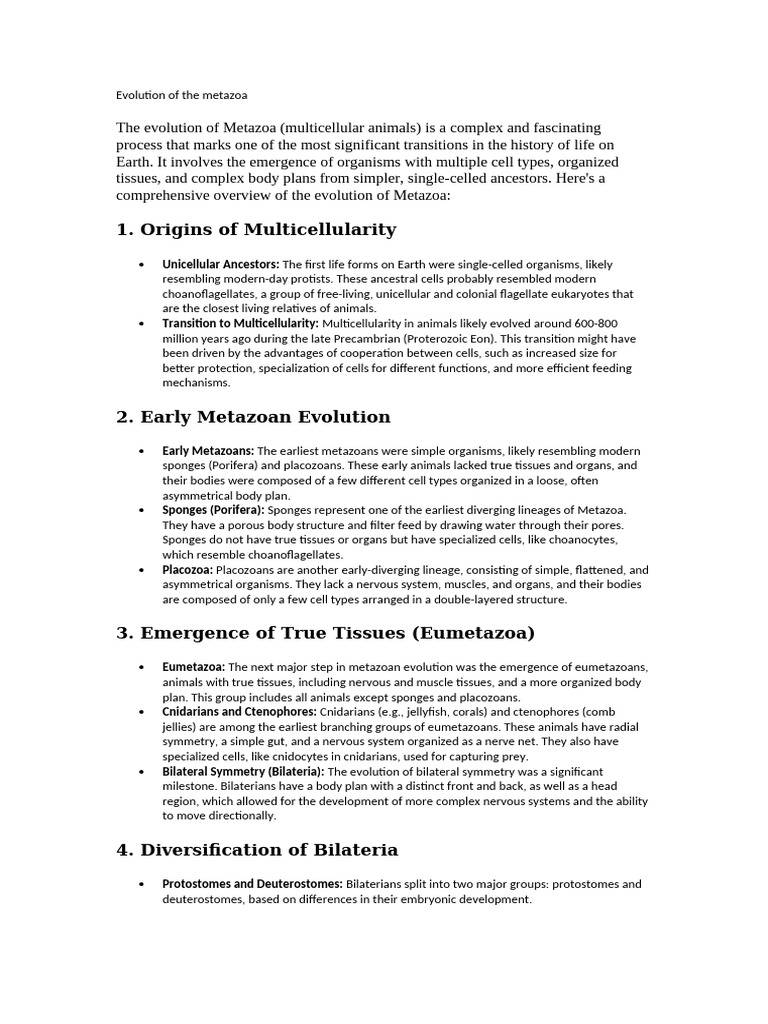 Evolution of The Metazoa | PDF