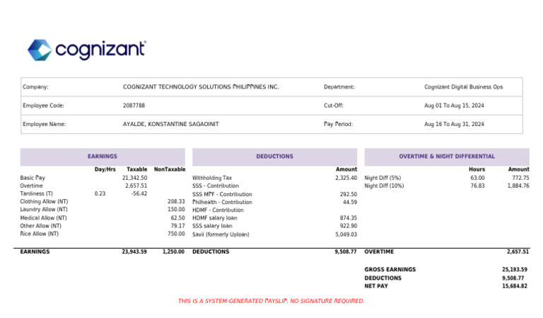 Payslip 1 | PDF