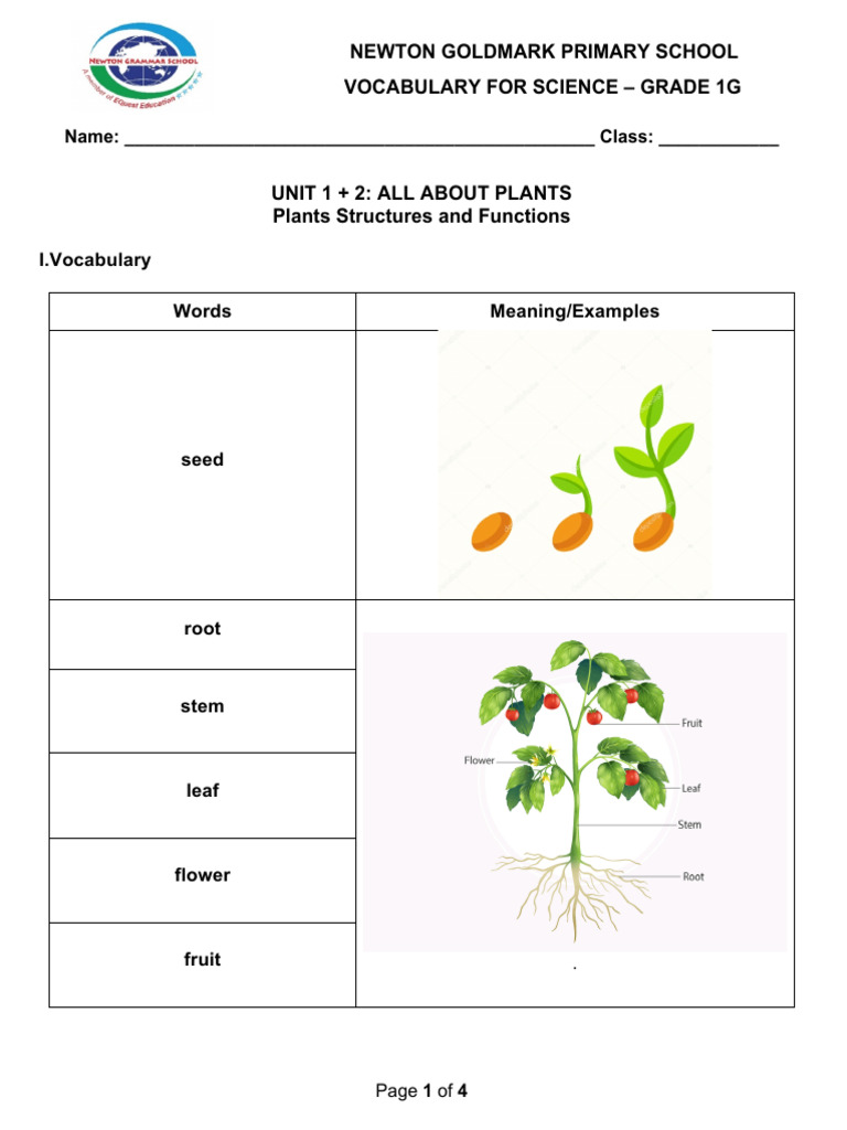Wordlist-1G-Grade 1-Unit 1-Plant structures and functions | PDF