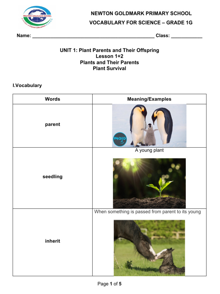 Wordlist-1G-Grade 1-Unit 1-Plants and Their Offspring | PDF