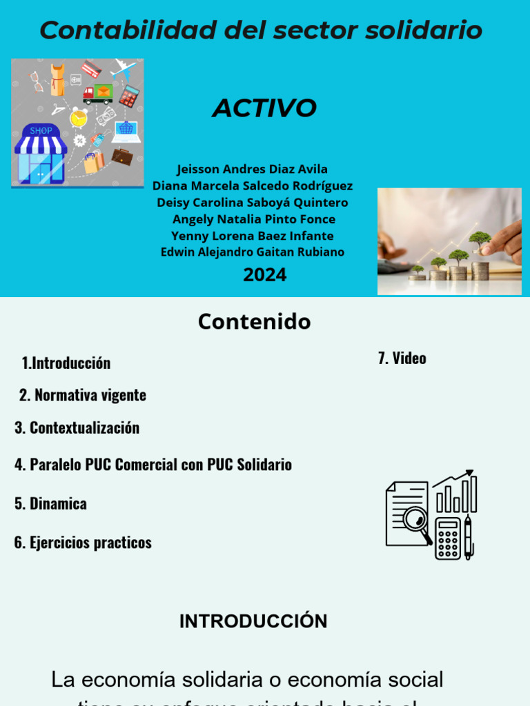 Activo Sector Solidario | PDF | Tarjeta de débito | Crédito