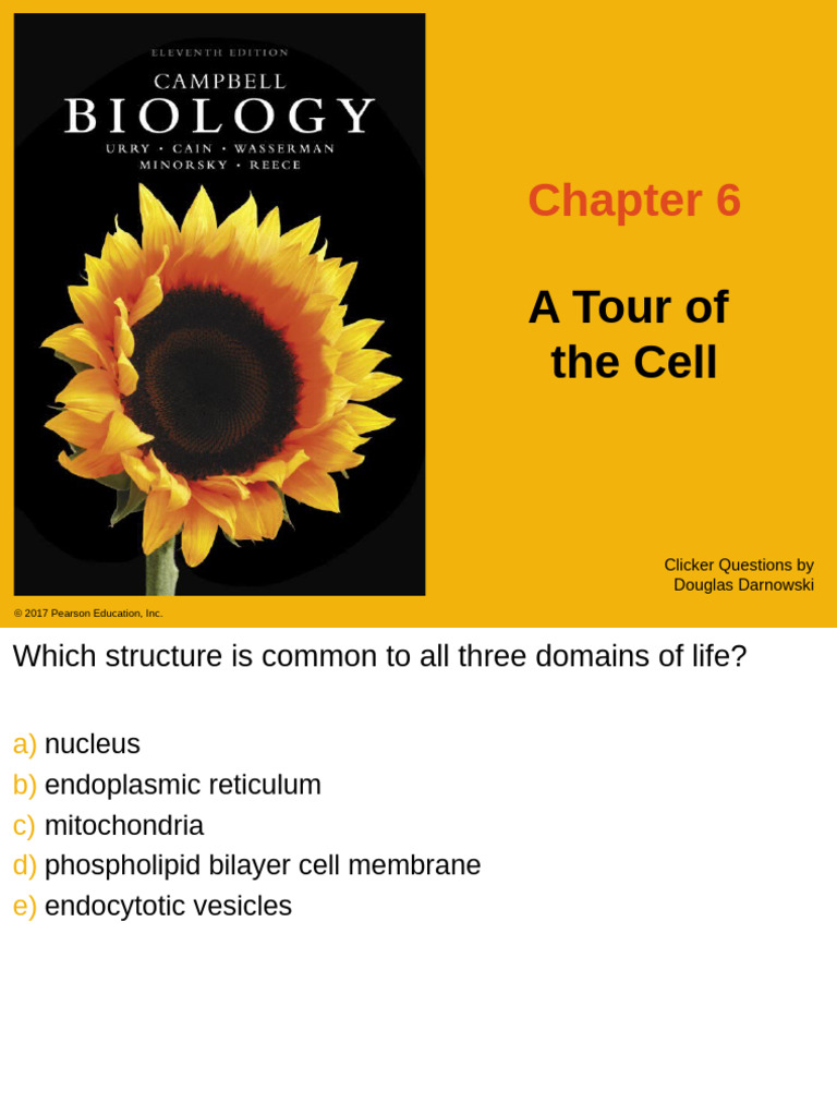 06 Clicker Questions | PDF