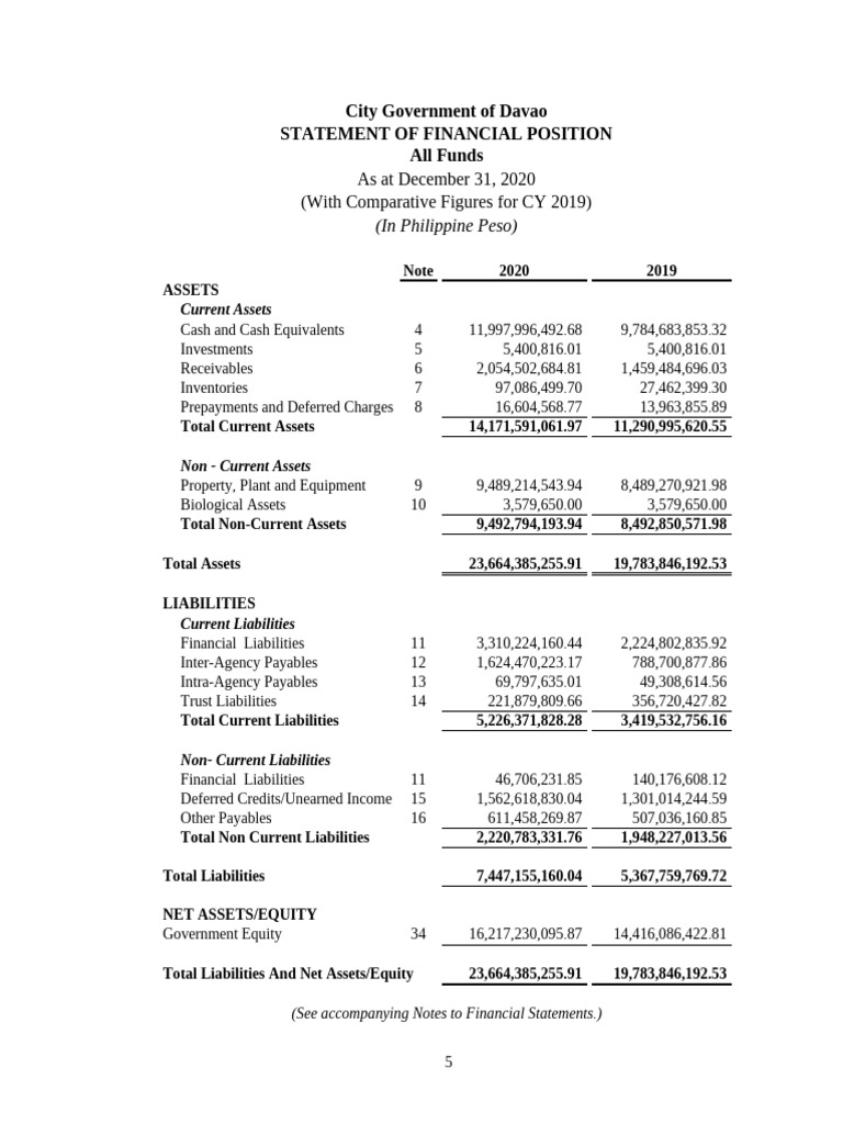 Davao City Financial Statements 2020 | PDF | Revenue | Expense