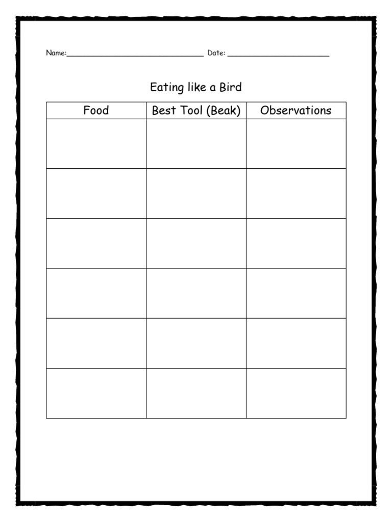 Eating Like A Bird Food Best Tool (Beak) Observations | PDF
