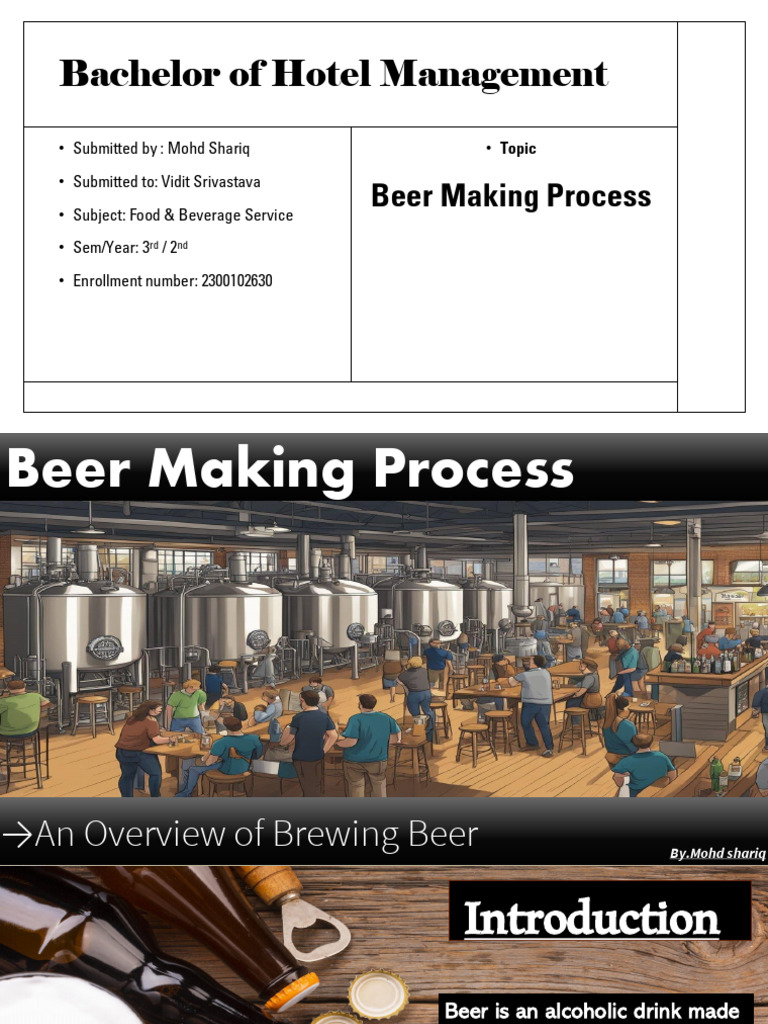 Process of Beer | PDF