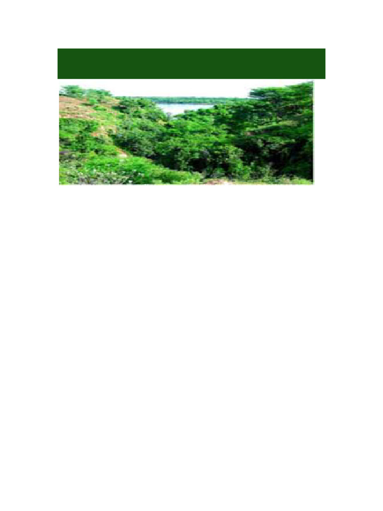 Success Story Bamboo ICAR | PDF | Agriculture | Technology & Engineering