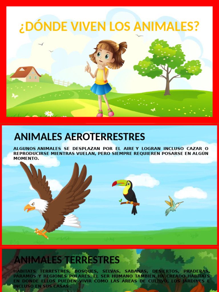 Donde Viven Animales | PDF