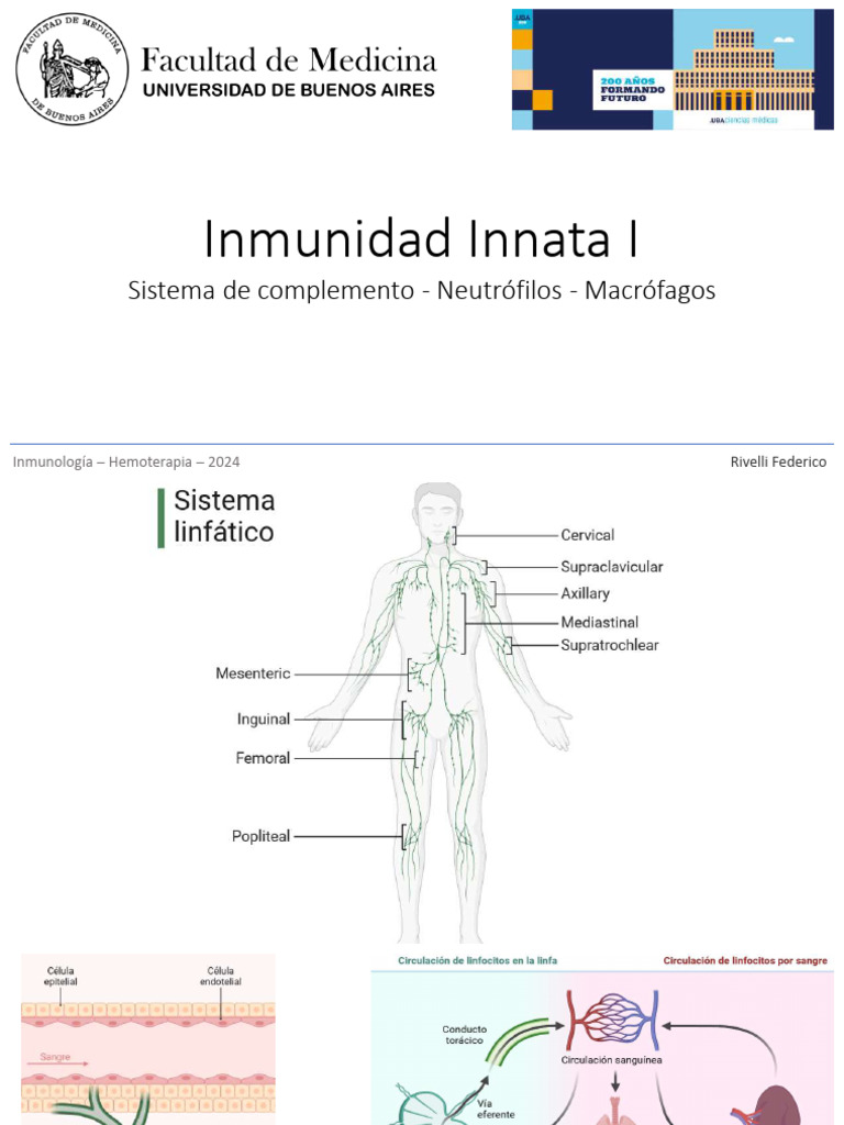Inmunidad Innata I - Hemoterapia 2024 | PDF