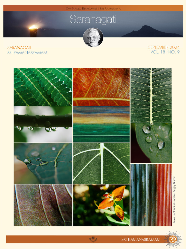 Saranagathi Enewsletter September 2024 | PDF