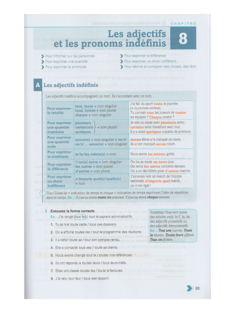 Les Adjectifs Et Pronoms Indéfinis | PDF