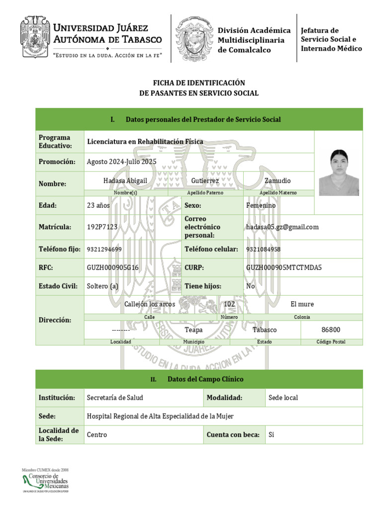 Ficha Identificación Servicio Social DAMC | PDF