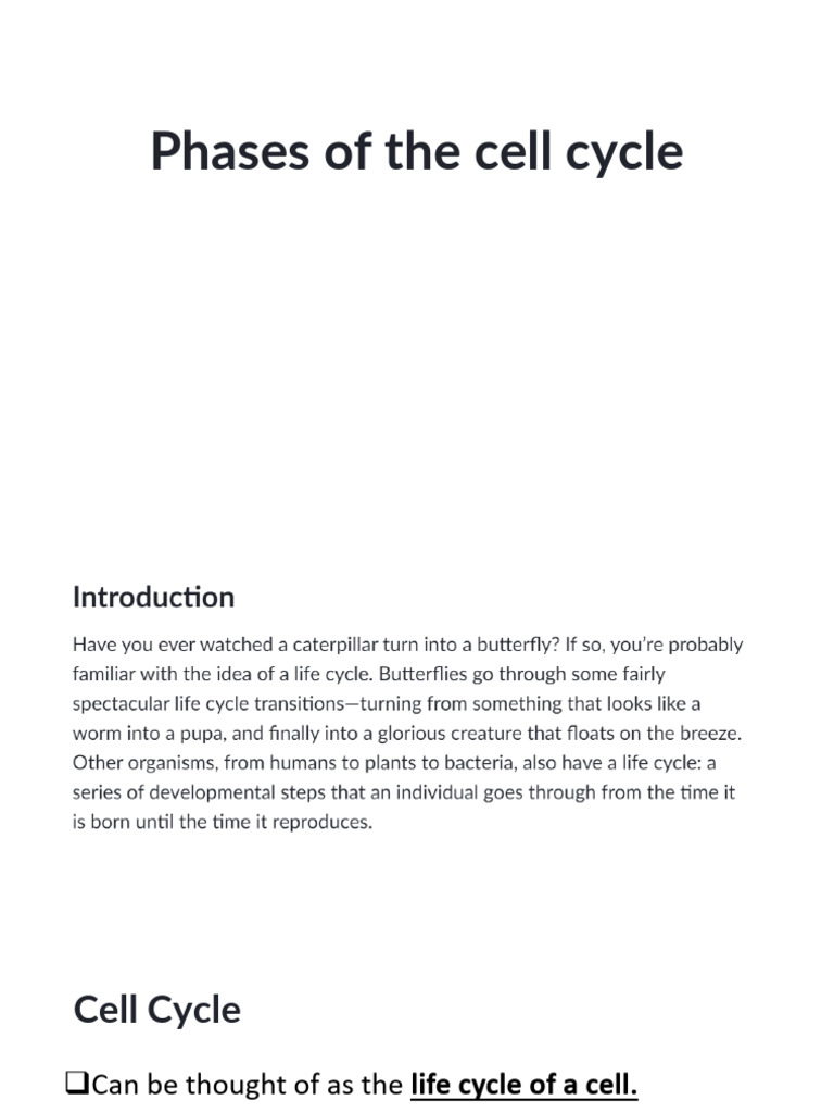Phases-of-the-cell-cycle | PDF