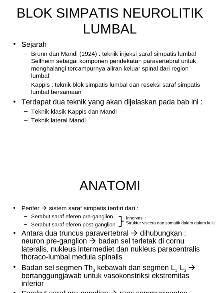 Lumbar Sympathetic Block and Neurolysis | PDF