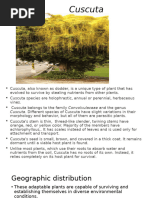 Technical Bulletin No - 8 - Biology and Management of Cuscuta | PDF | Herbicide | Seed