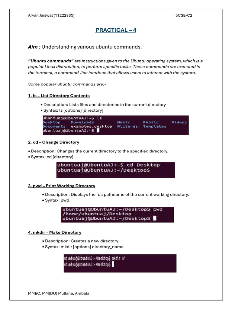 Understanding Various Ubuntu Commands.: Practical - 4 | PDF