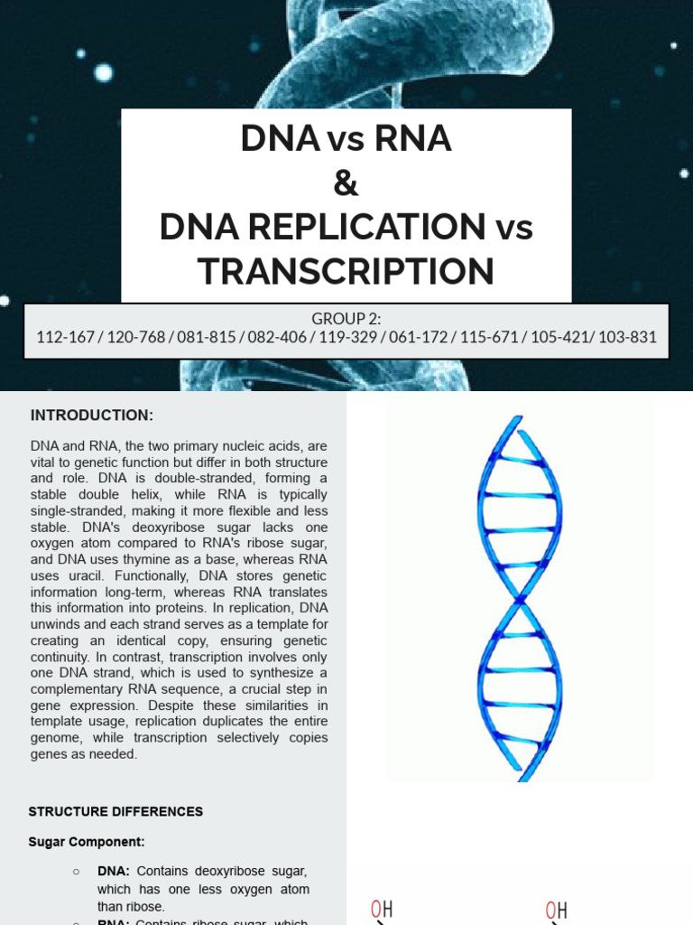 DNA Vs RNA & DNA REPLICATION Vs TRANSCRIPTION | PDF | Rna | Dna