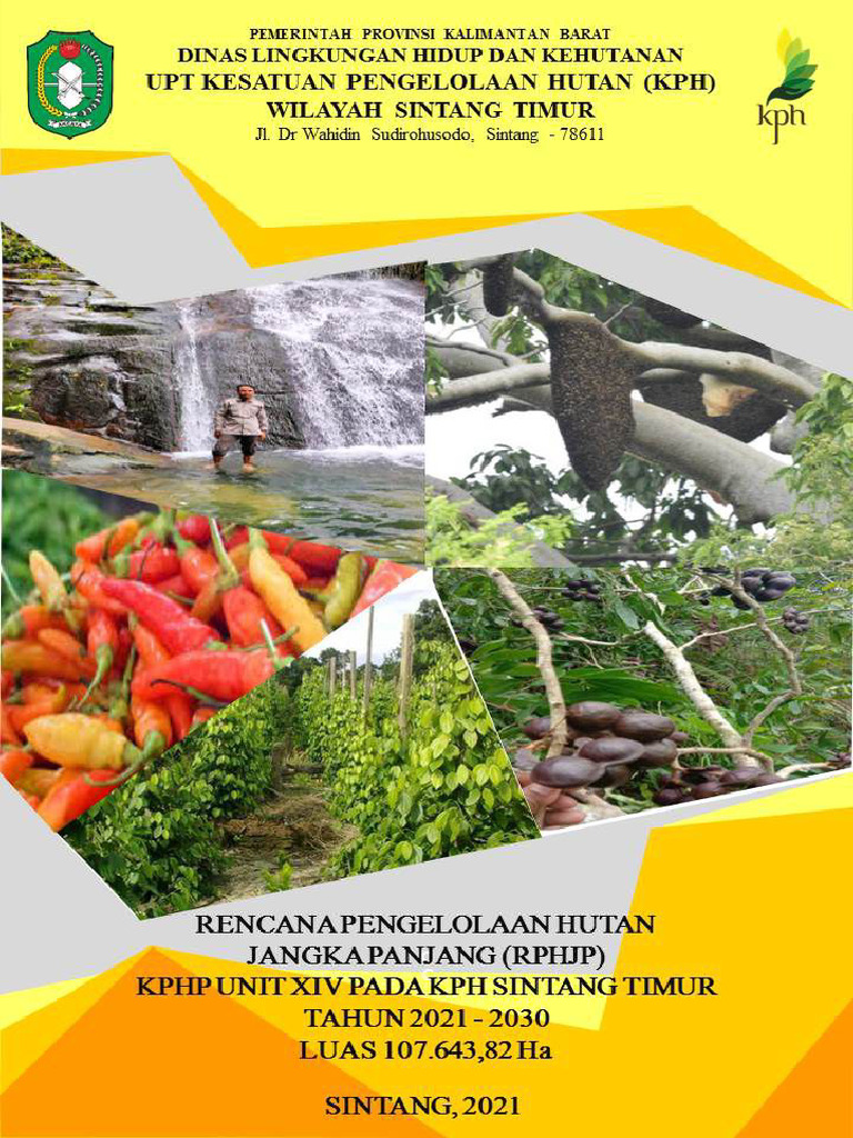 RPHJP KPHP Unit Xiv KPH Sintang Timur 2021 2030 | PDF