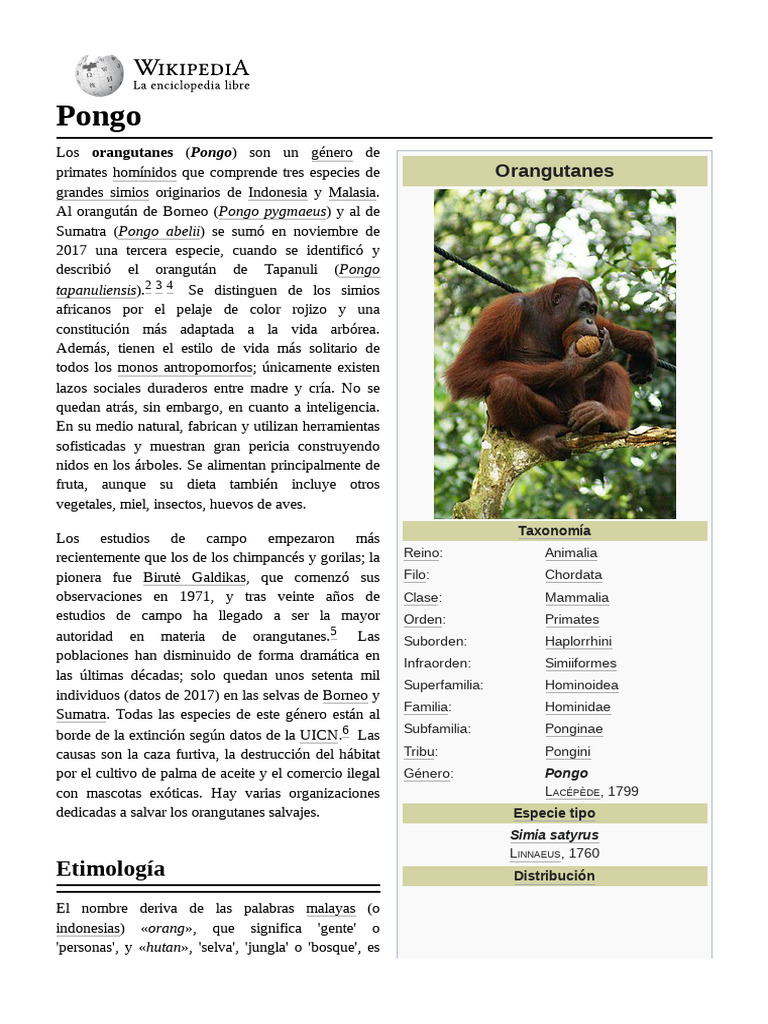 Pongo | PDF