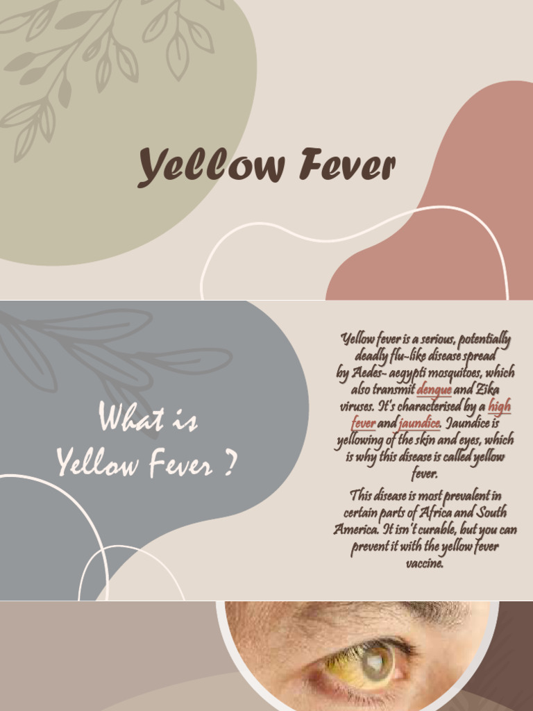 Yellow Fever 1 | PDF