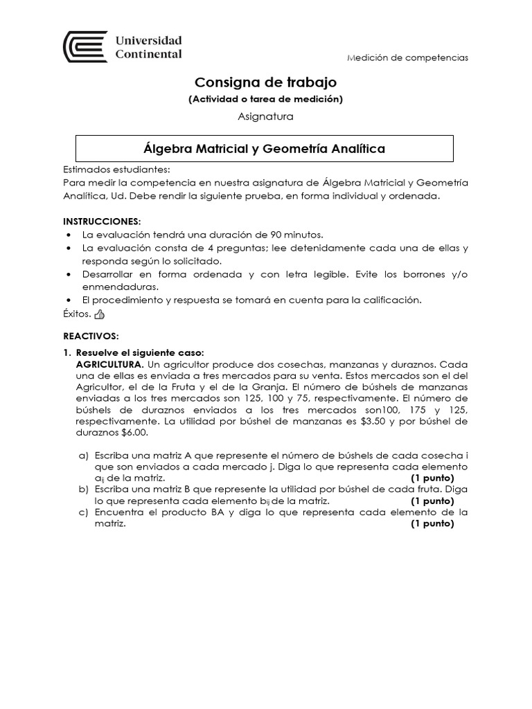 Consigna | PDF