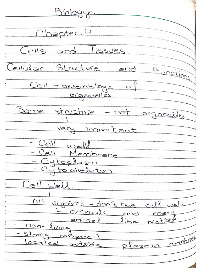 Cells and Tissues | PDF