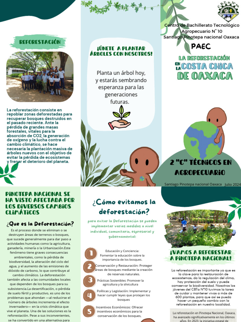 Concepto De Triptico Ambiental