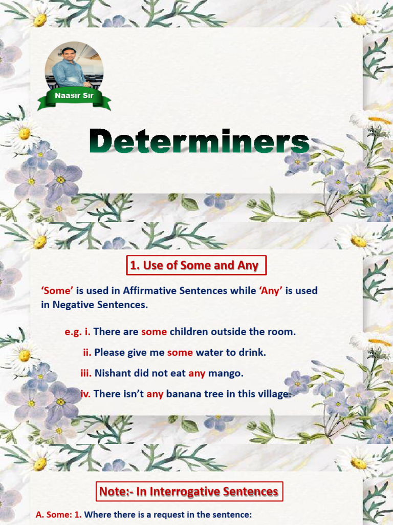 Understanding Determiners: Usage Guide | PDF | Noun | Foreign Language ...
