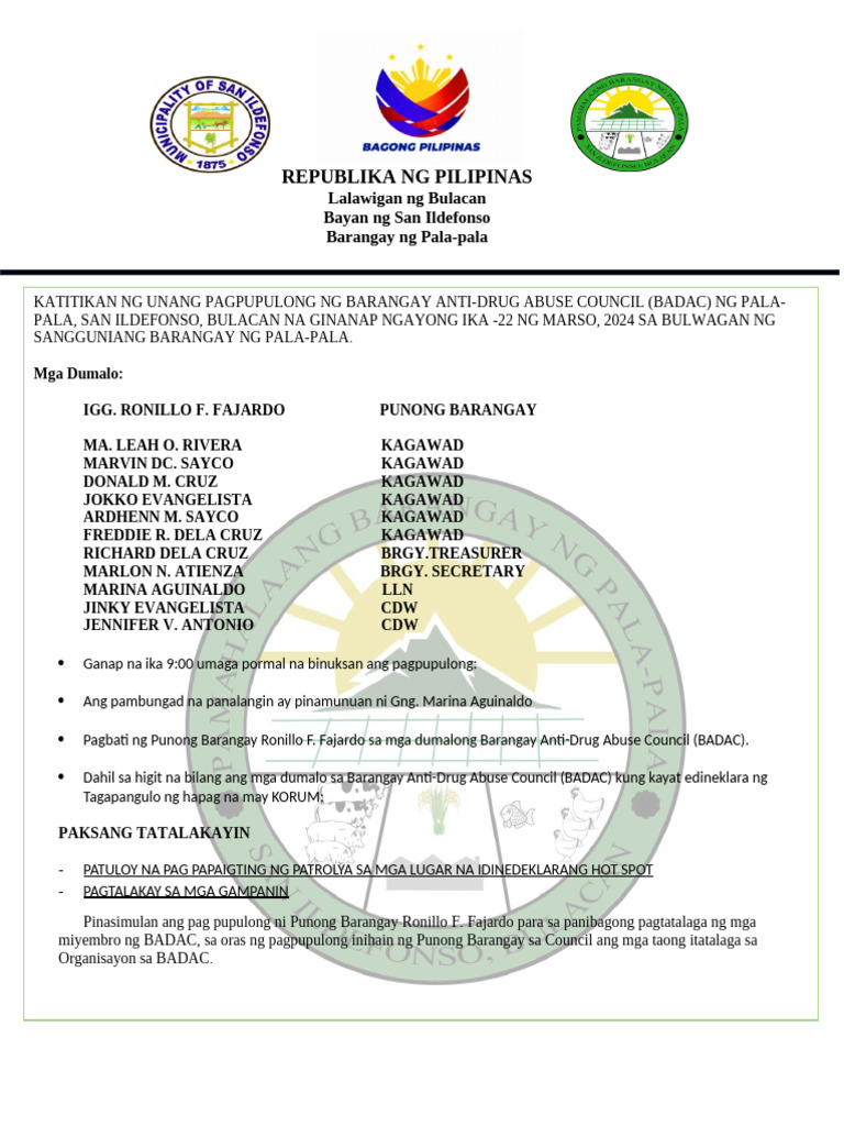 Barangay Executive Order-005-2024 Badac | PDF