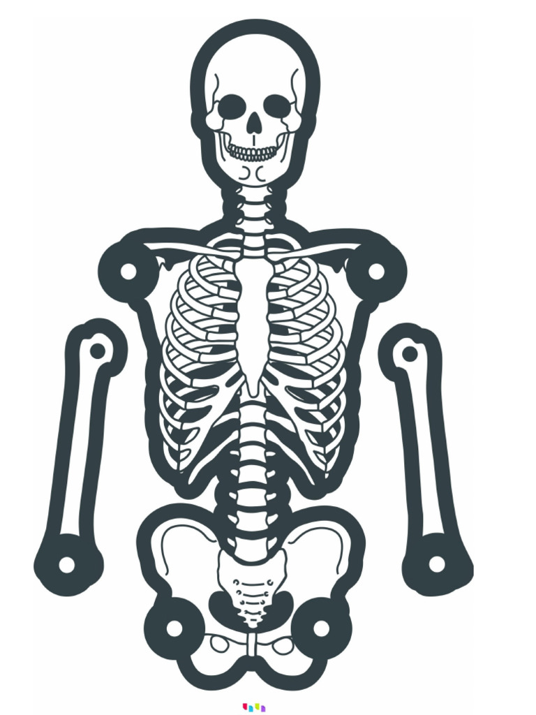 Skeleton Templates | PDF