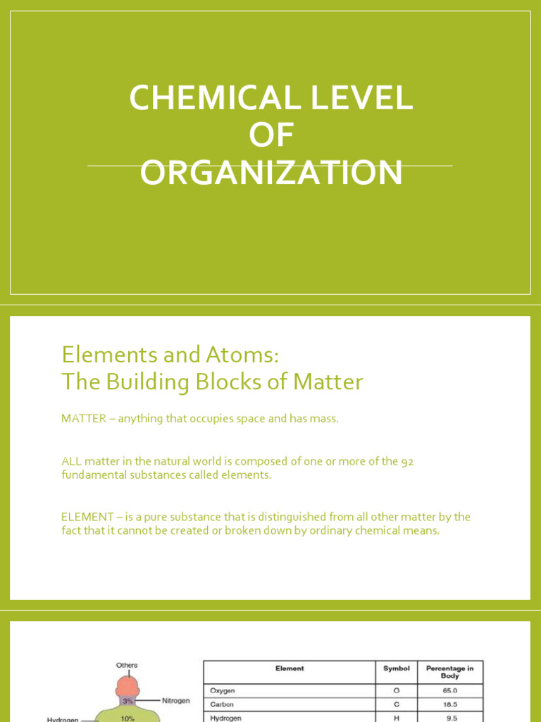MODULE 2 - Anatomy | PDF