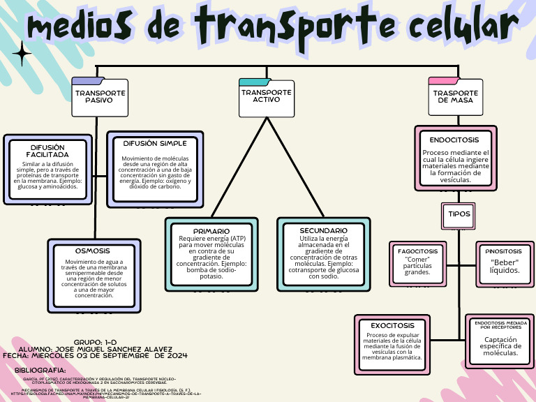 Black Modern UI Concept Map Graph | PDF