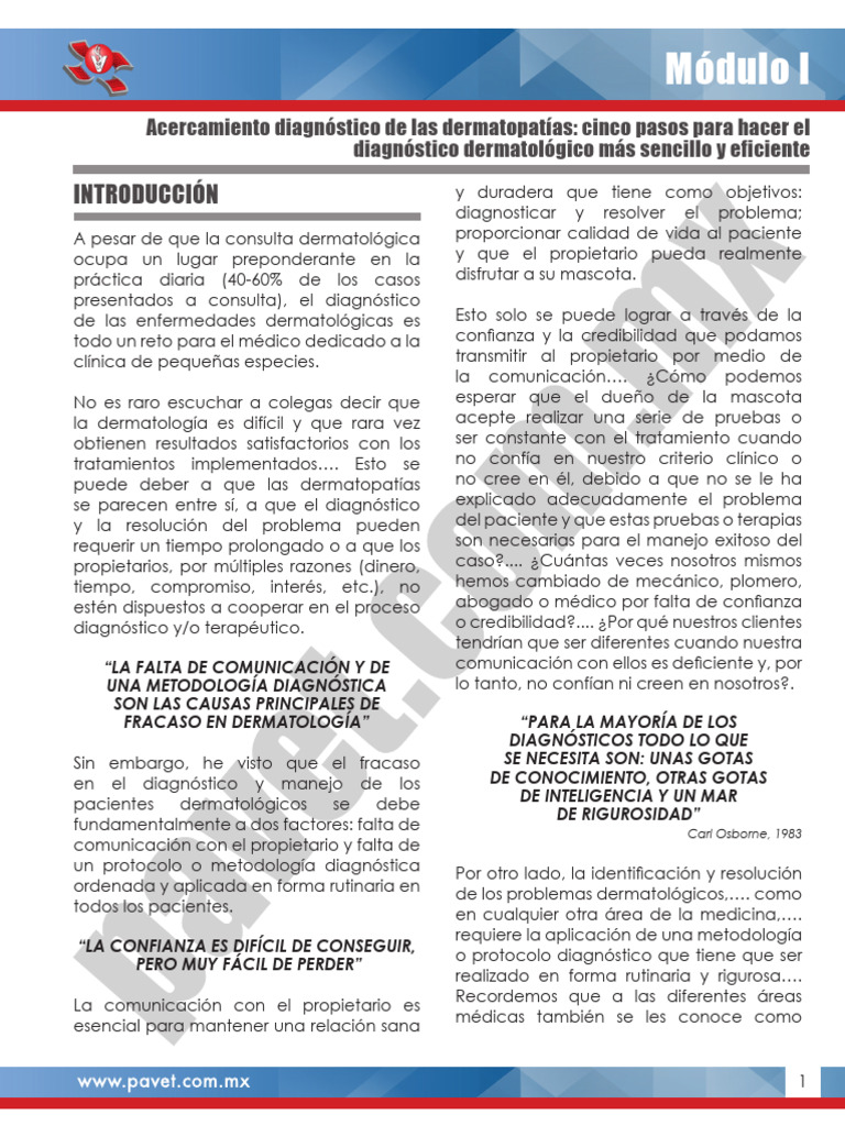 Pavet Mod1 t2 Introduccion | PDF