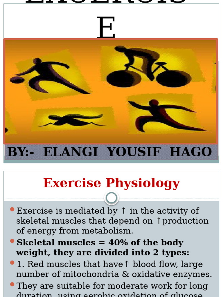 Exercise Physiology | PDF