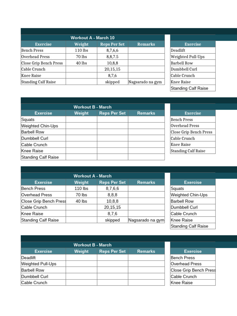 Workout Tracker | PDF