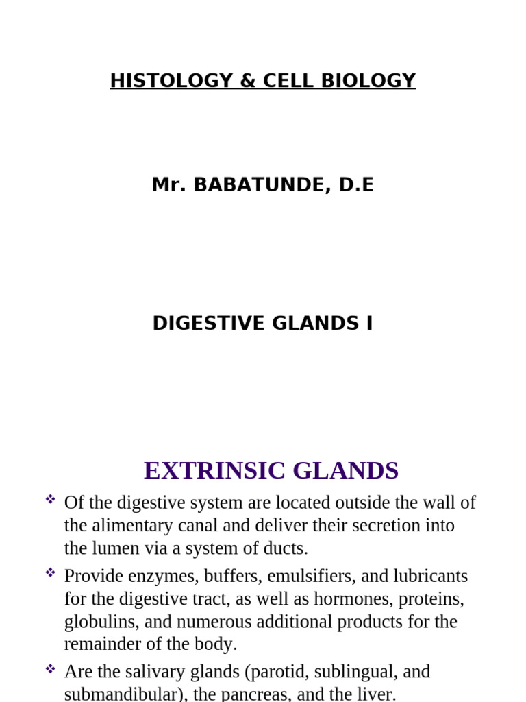 #21 Digestive - Glands | PDF