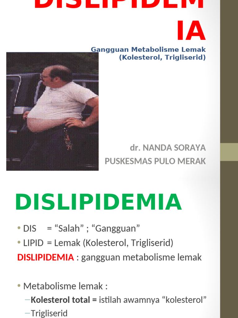 Penyuluhan Dislipidemia | PDF