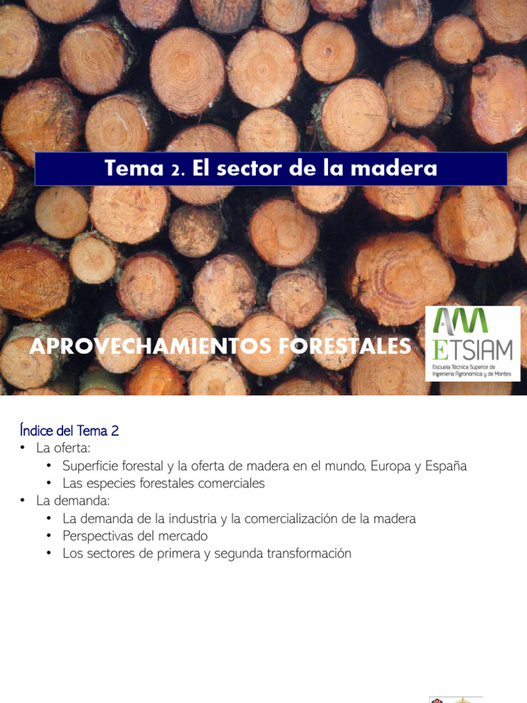 Tema 2 - El Sector de La Madera | PDF